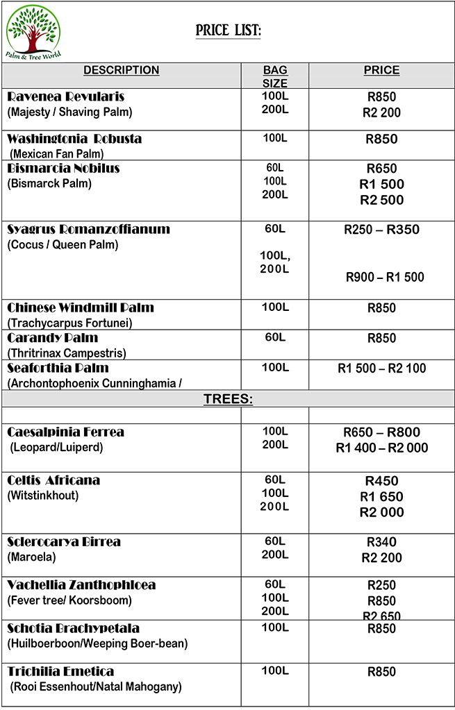Price List Palm Tree World Petronella Pyramid Pretoria